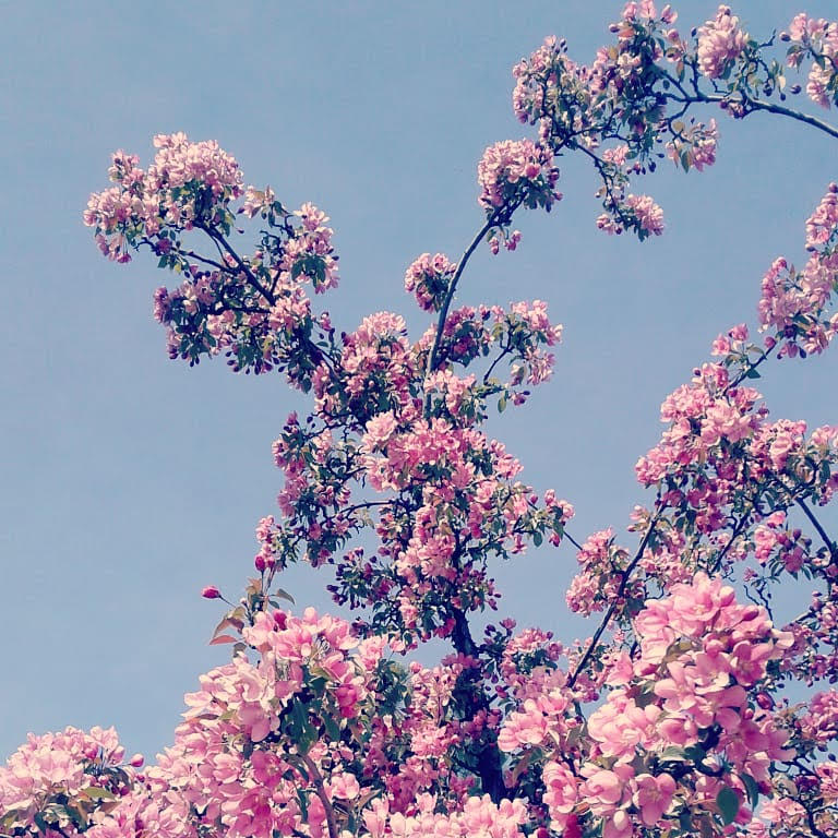 living under lockdown – of words & books